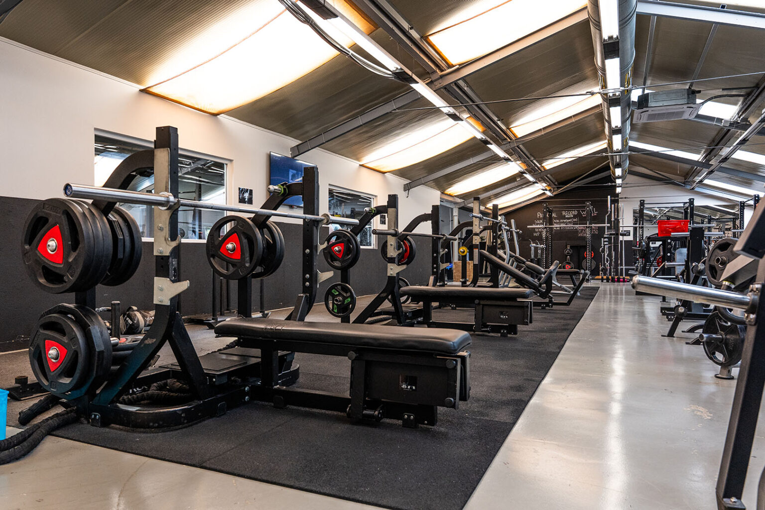 LegacyGym - Legacy Gym & Lifestyle